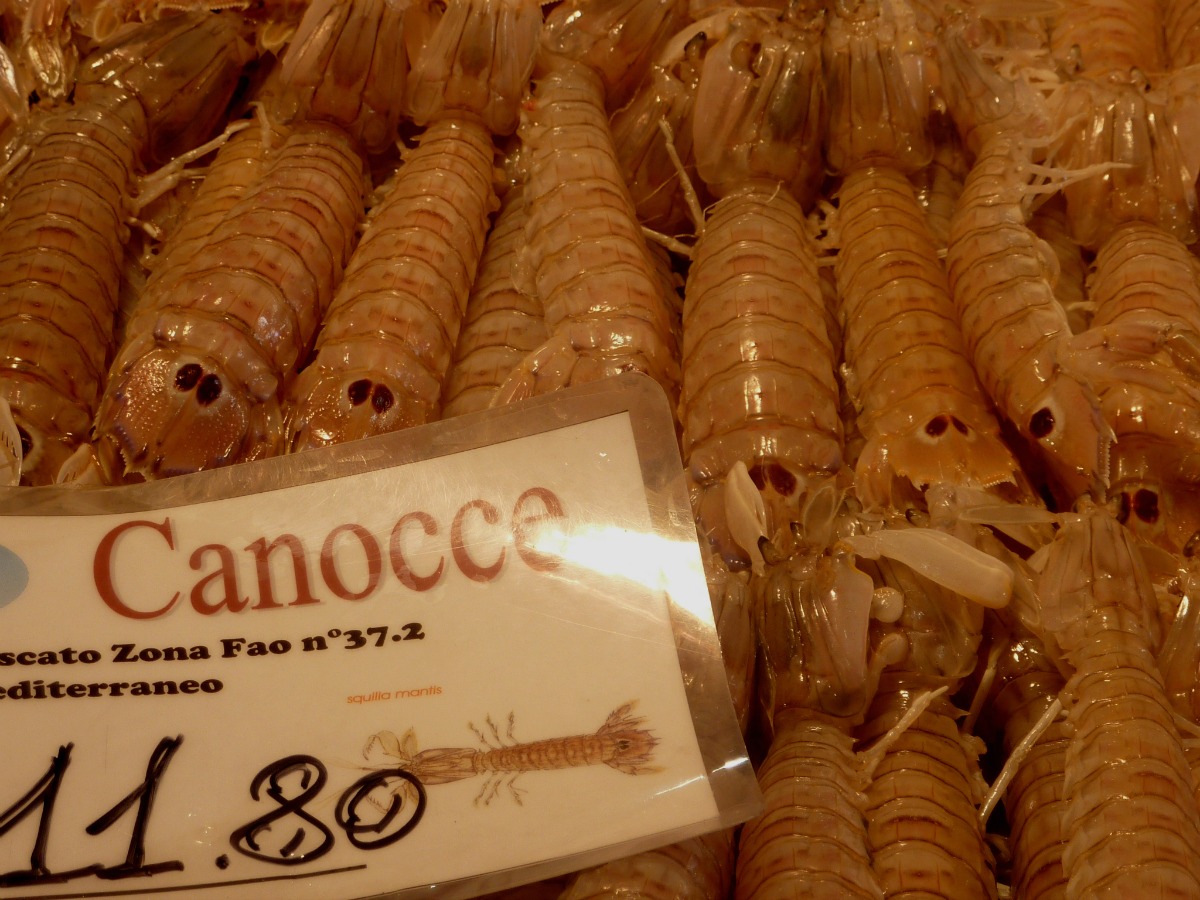 What to do in Venice: aka Venice for Beginners | Expert Abroad